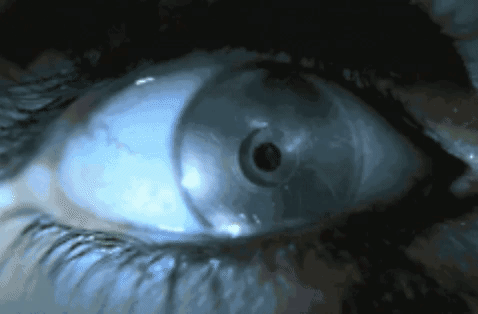 Gallery of GIFs – 7019