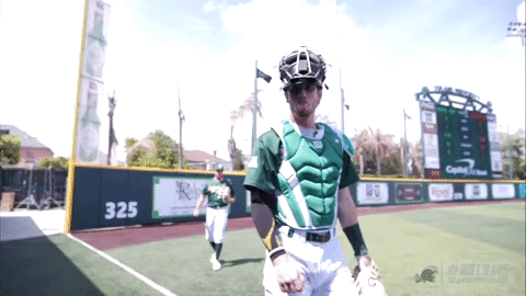 Baseball Wave GIF by GreenWave - Find & Share on GIPHY