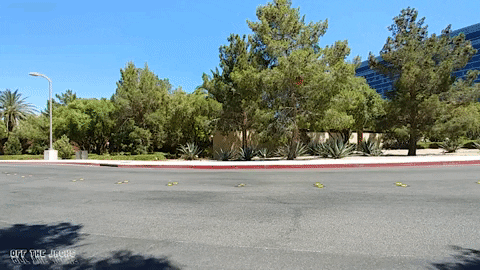 Hot Rods Chevy GIF by Off The Jacks - Find & Share on GIPHY