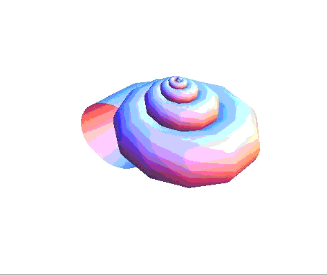 Shell GIF - Find & Share on GIPHY