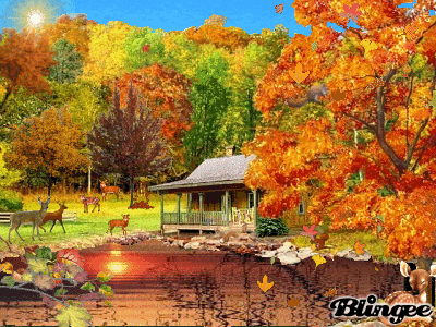 The Fall GIF - Find & Share on GIPHY