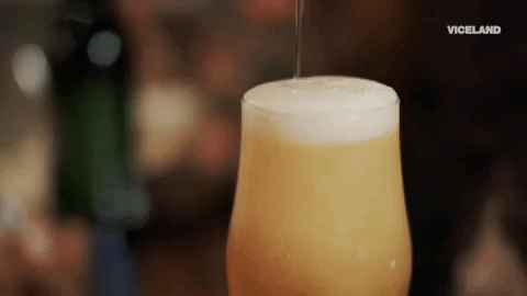 Beer GIF by BEERLAND - Find & Share on GIPHY