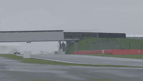 Formula 1 Rain GIF by Red Bull Racing - Find & Share on GIPHY