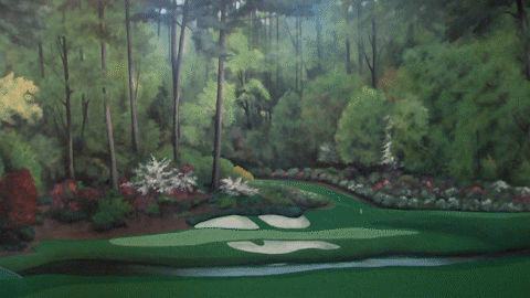 Cnwg18 Allie Fletcher GIF by Carson-Newman Athletics - Find & Share on ...