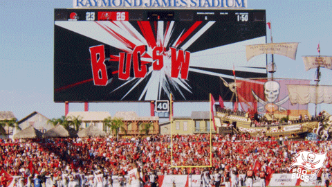 Happy Bucs GIF by Tampa Bay Buccaneers - Find & Share on GIPHY