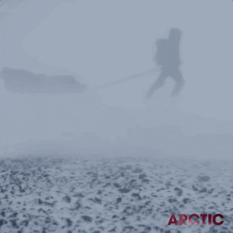 Youtube Snow GIF by Signature Entertainment - Find & Share on GIPHY