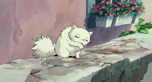 Kikis Delivery Service Cats GIF by Maudit - Find & Share on GIPHY