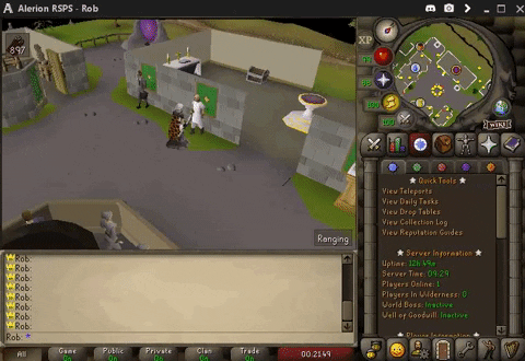 OSRS - Alerion #191 OSRS | Full Runelite | Mobile Client | Reputation ...