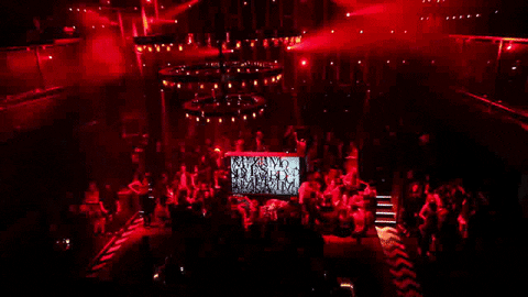 Nightlife GIF - Find & Share on GIPHY