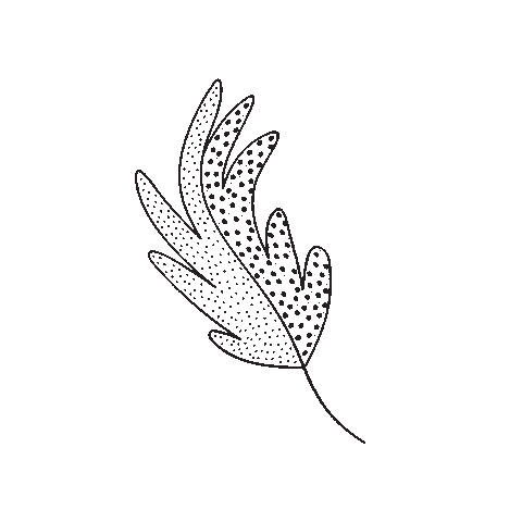 Leaf Foliage Sticker for iOS & Android | GIPHY
