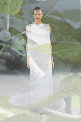 Populer 38+ GIF Of Fig Tree