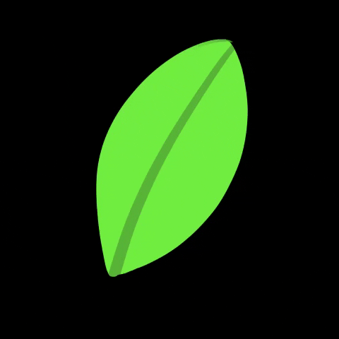 Green GIF - Find & Share on GIPHY