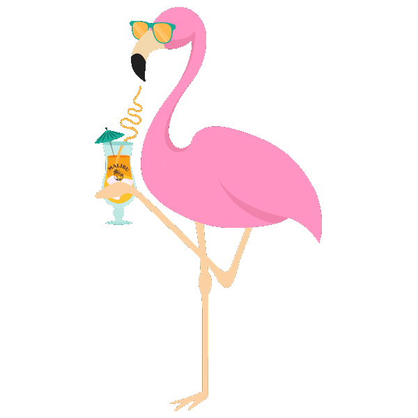 Dance Love Sticker by Malibu Rum for iOS & Android | GIPHY