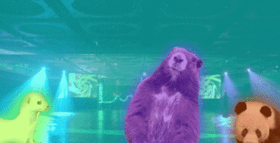 Rave GIFs - Find & Share on GIPHY
