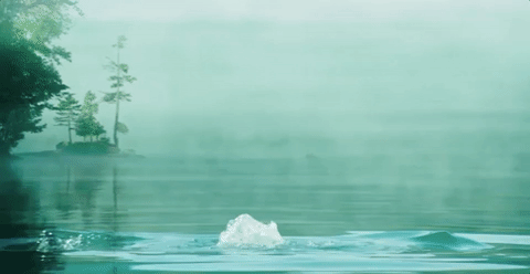 The Song Of Swan Lake GIF by The Orchard Films - Find & Share on GIPHY