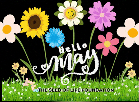 Happy Food GIF by The Seed of Life Foundation - Find & Share on GIPHY