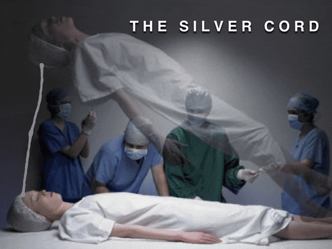 Body GIF - Find & Share on GIPHY