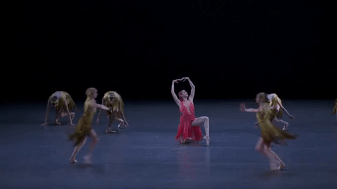 Dance Judah GIF by New York City Ballet - Find & Share on GIPHY
