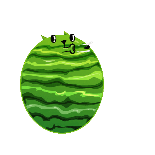 Card Game Cat Sticker by Exploding Kittens for iOS & Android | GIPHY