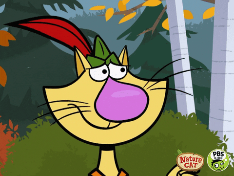 Stinks Nature Cat GIF by PBS KIDS - Find & Share on GIPHY
