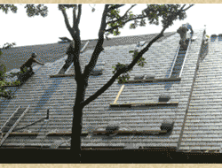 Roof GIF - Find & Share on GIPHY