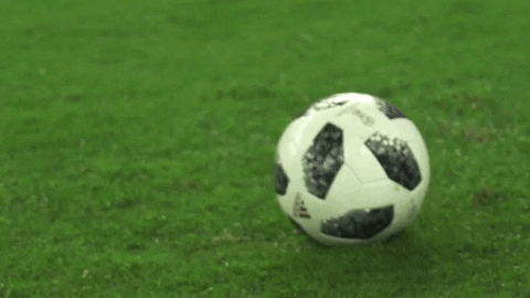 Copa Del Mundo Mexico GIF by MiSelecciónMX - Find & Share on GIPHY