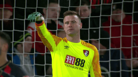 Football Soccer GIF by AFC Bournemouth - Find & Share on GIPHY