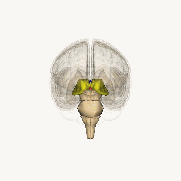 Stem GIF - Find & Share on GIPHY