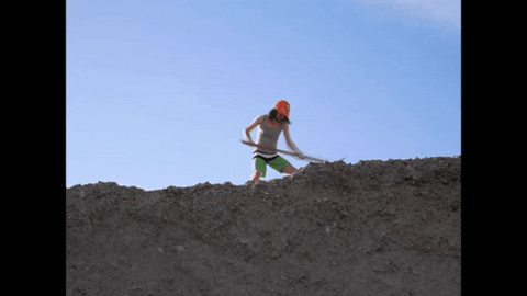 Dig Digging GIF - Find & Share on GIPHY