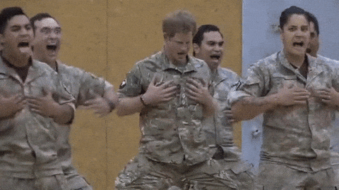 Army Visit GIF - Find & Share on GIPHY