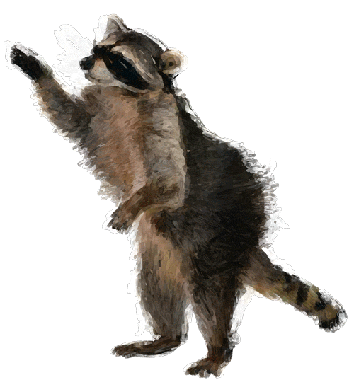 Transparent GIF Sticker - Find & Share on GIPHY