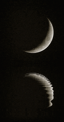 Reflection GIF - Find & Share on GIPHY