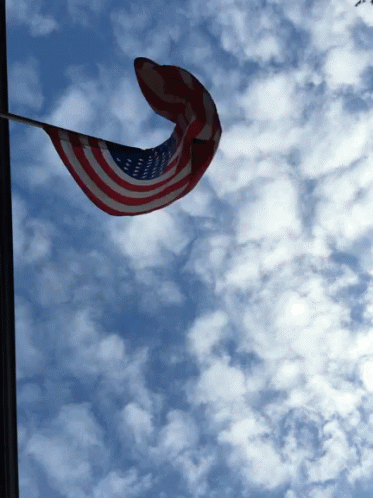 America GIF - Find & Share on GIPHY