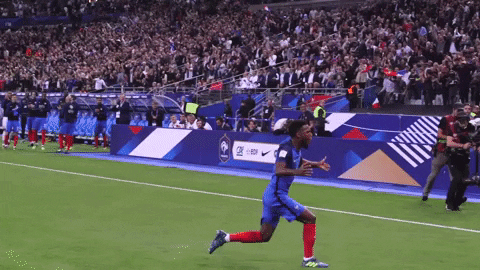 Equipe de France de Football GIF - Find & Share on GIPHY
