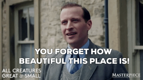 Coming Back GIF by MASTERPIECE | PBS - Find & Share on GIPHY