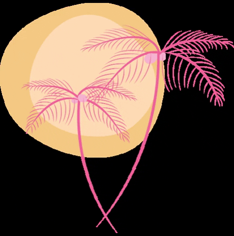 Palm Trees Beach GIF by pinknproper - Find & Share on GIPHY
