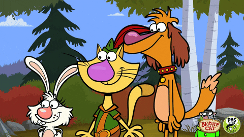 Excited Nature Cat GIF by PBS KIDS - Find & Share on GIPHY