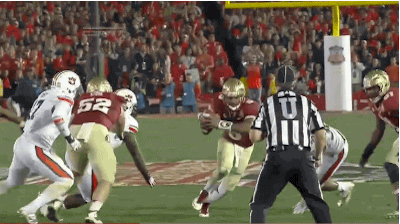 Florida State Football GIF - Find & Share on GIPHY