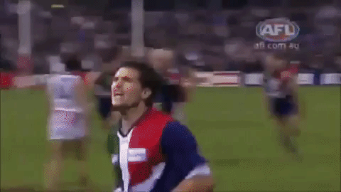 Following the success of Essendon's post-match victory gif, what would ...