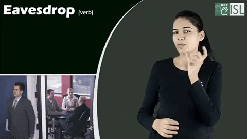 Sign Language Eavesdrop GIF by ISL Connect - Find & Share on GIPHY