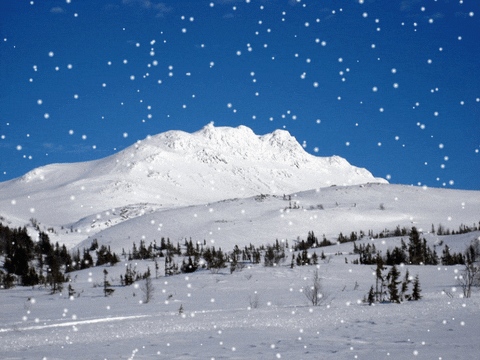 Winter GIF - Find & Share on GIPHY
