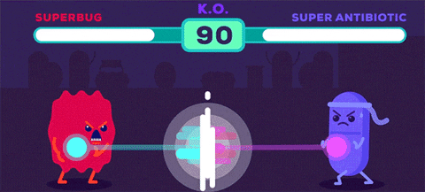 Bacteria GIF - Find & Share on GIPHY