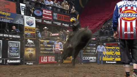 Page 2 - Page 207 - Off Topic - Mattel Creations