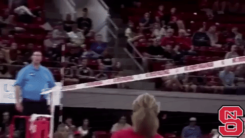 - Find & Share on GIPHY