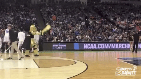 College Basketball Sport GIF by NCAA March Madness - Find & Share on GIPHY