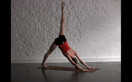 Yoga Trapeze Gifs