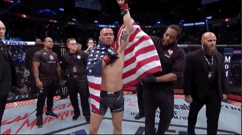 Mixed Martial Arts Sport GIF by UFC - Find & Share on GIPHY