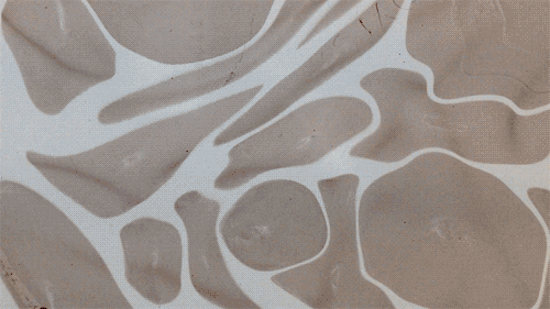 Ink Matthias Brown GIF by TraceLoops - Find & Share on GIPHY