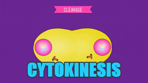 Biology GIF - Find & Share on GIPHY