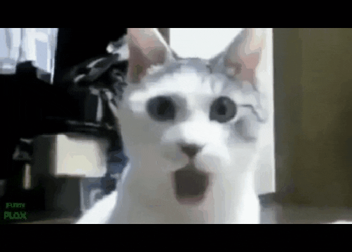 Huh GIF - Find & Share on GIPHY